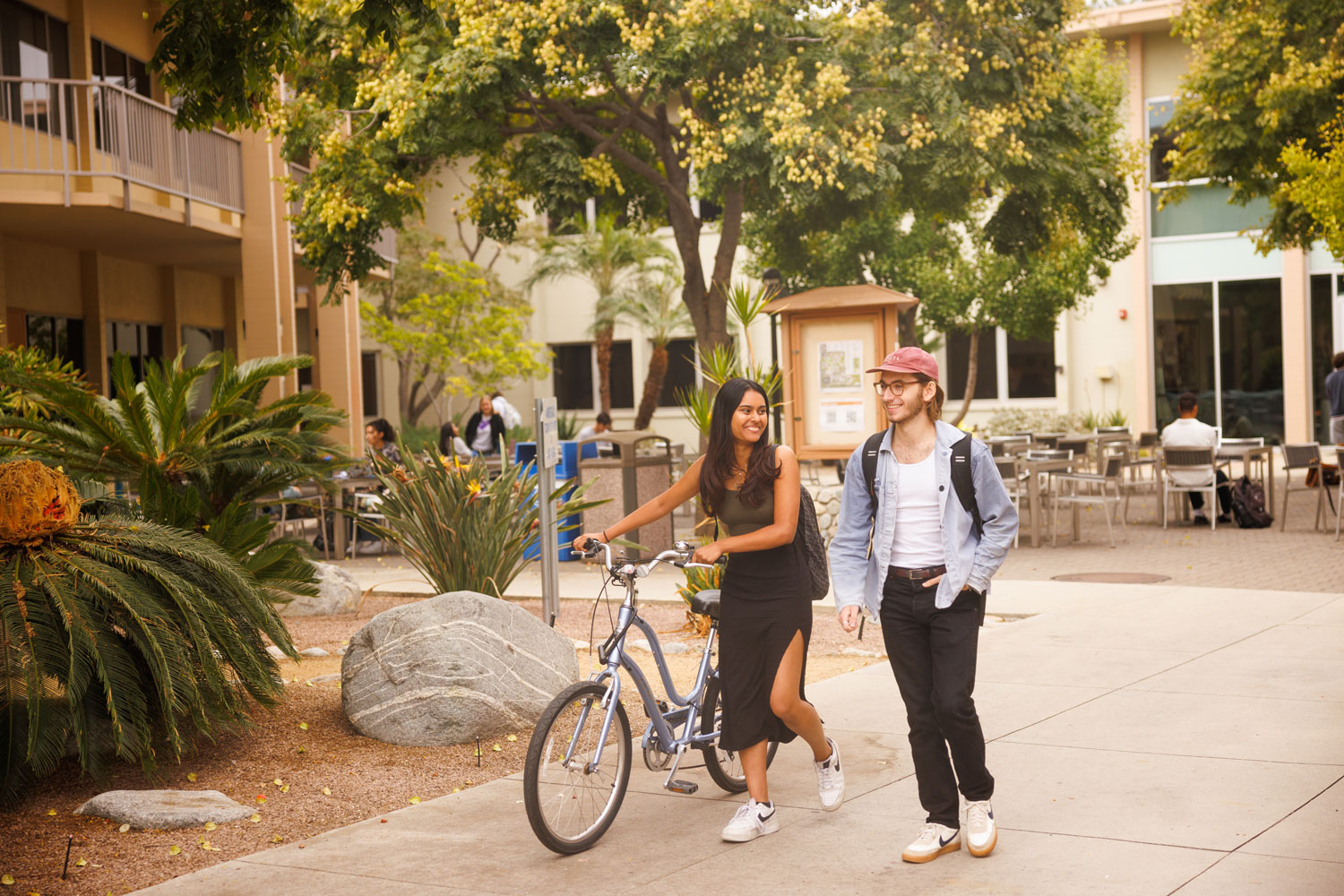 Transfer Applicants | Pitzer College