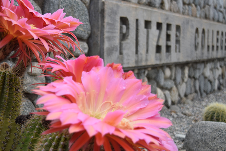 Community Update | Pitzer College