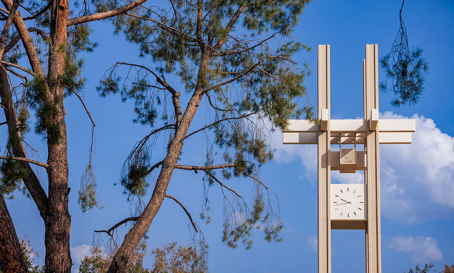 Pitzer Ranks High in Princeton Review 2025 | Pitzer College