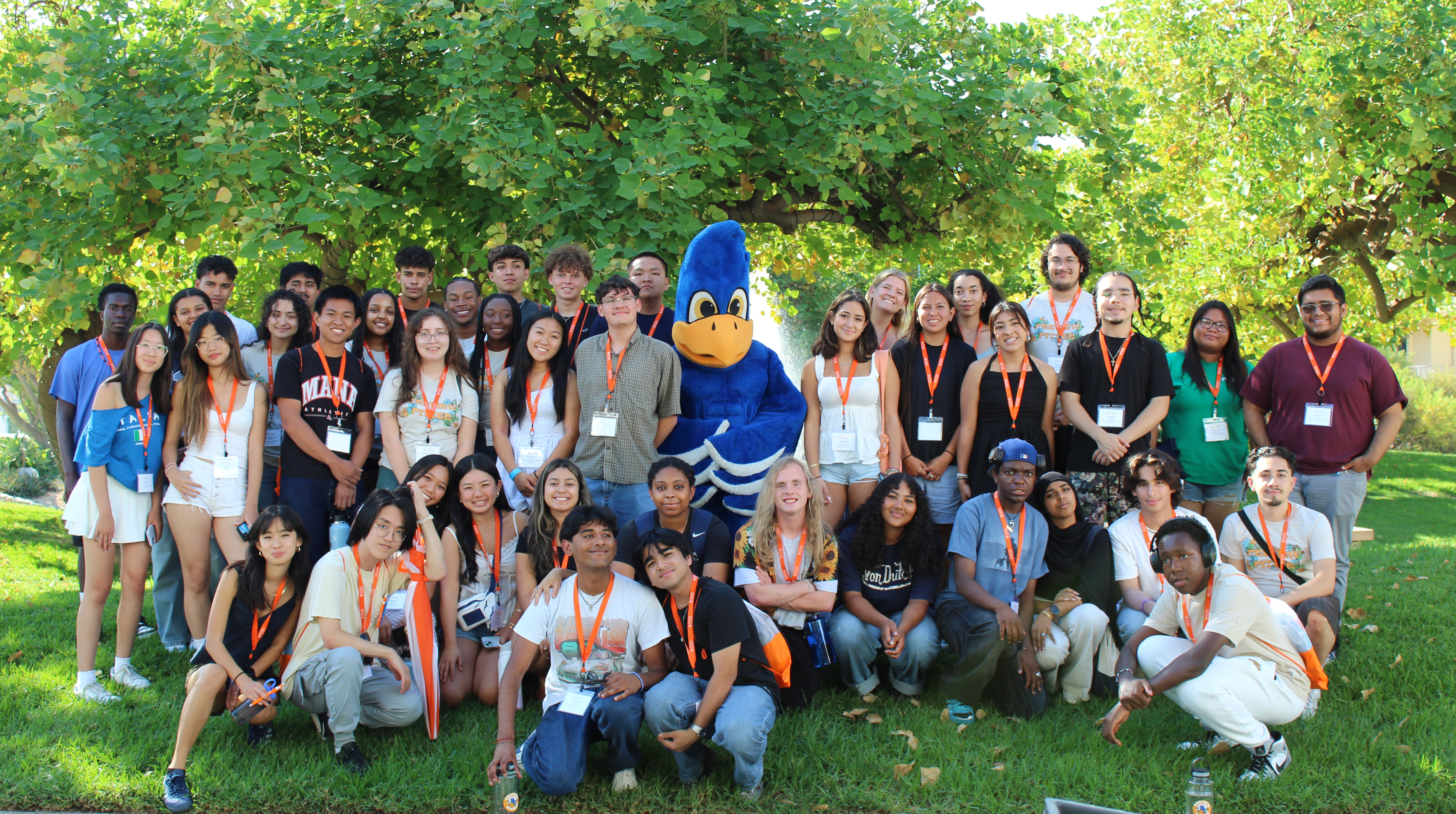 The Preview Pitzer Program | Pitzer College