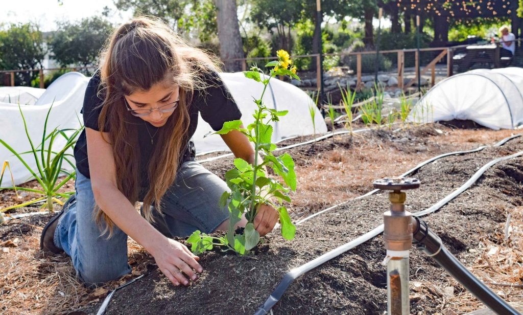 Values in Action | Pitzer College