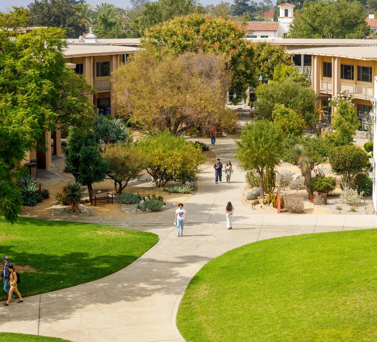 Contact Us Pitzer College Contact Us Pitzer College