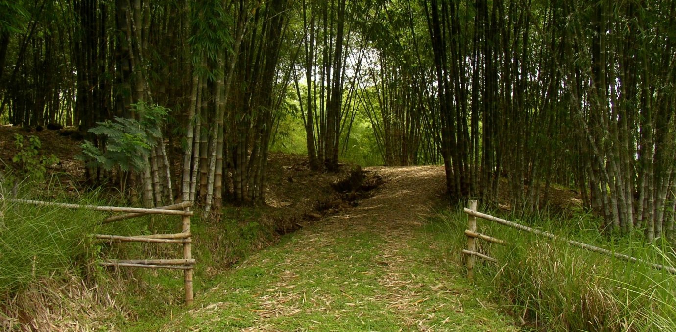 About The Firestone Center | Pitzer College