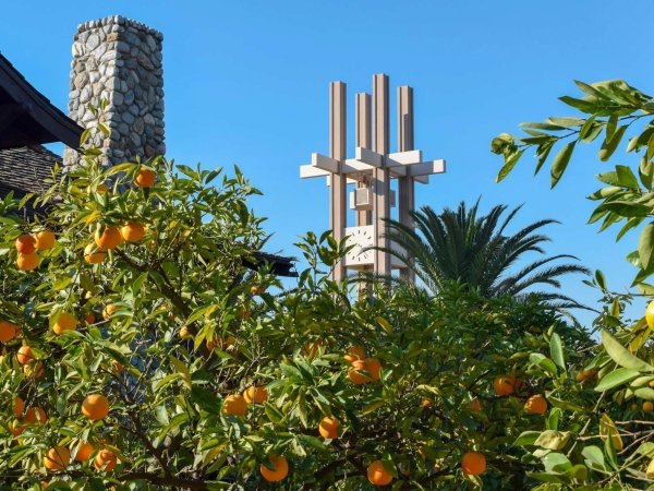 Fellowships | Pitzer College