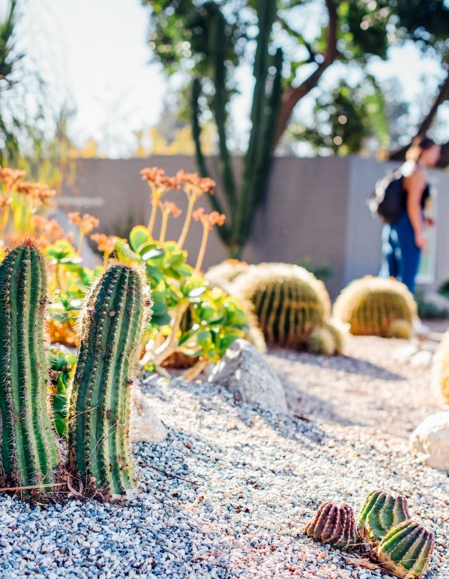 Admission & Aid | Pitzer College