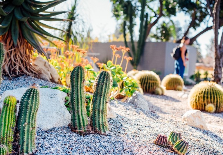 The Wellness Channel | Pitzer College