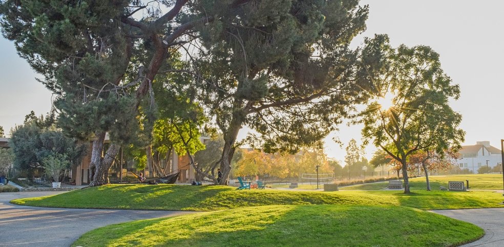 Billing & Payment Information | Pitzer College